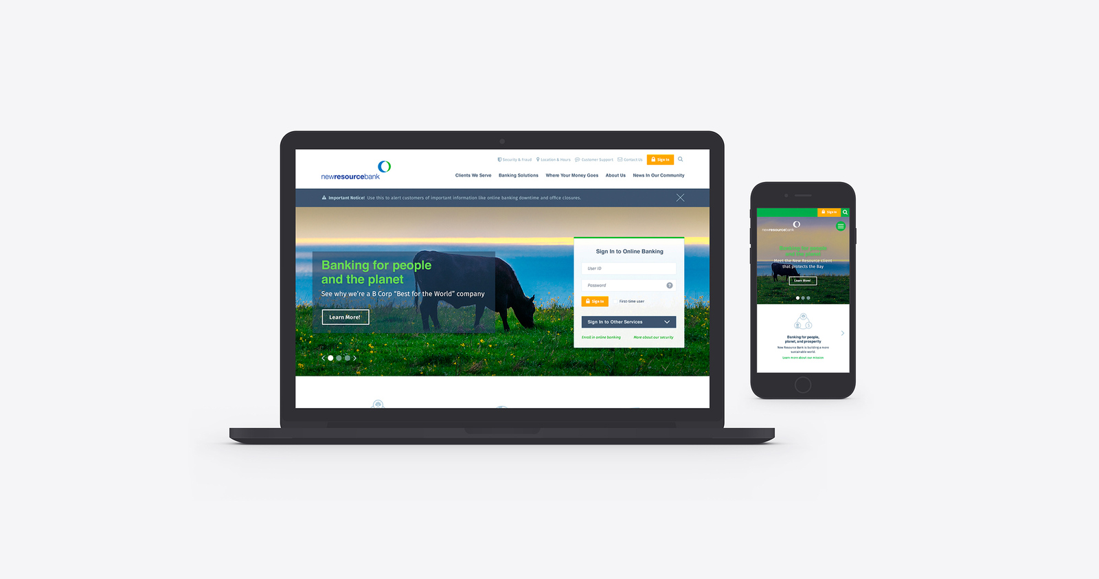 A brand identity for a new model of banking in the Bay - Elefint